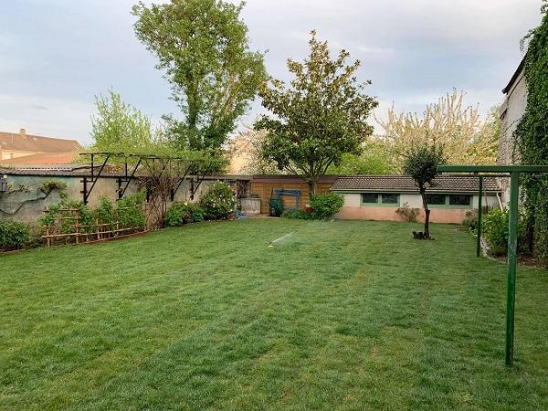 Quand planter du gazon : période idéale et conseils pro